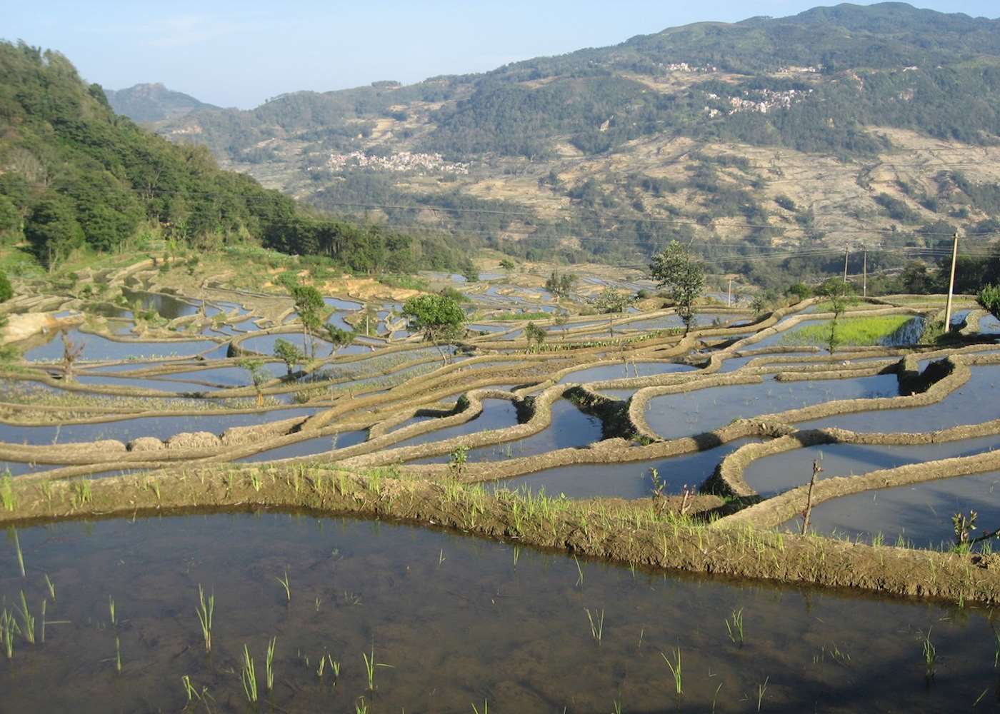 Visit Yuanyang on a trip to China | Audley Travel UK