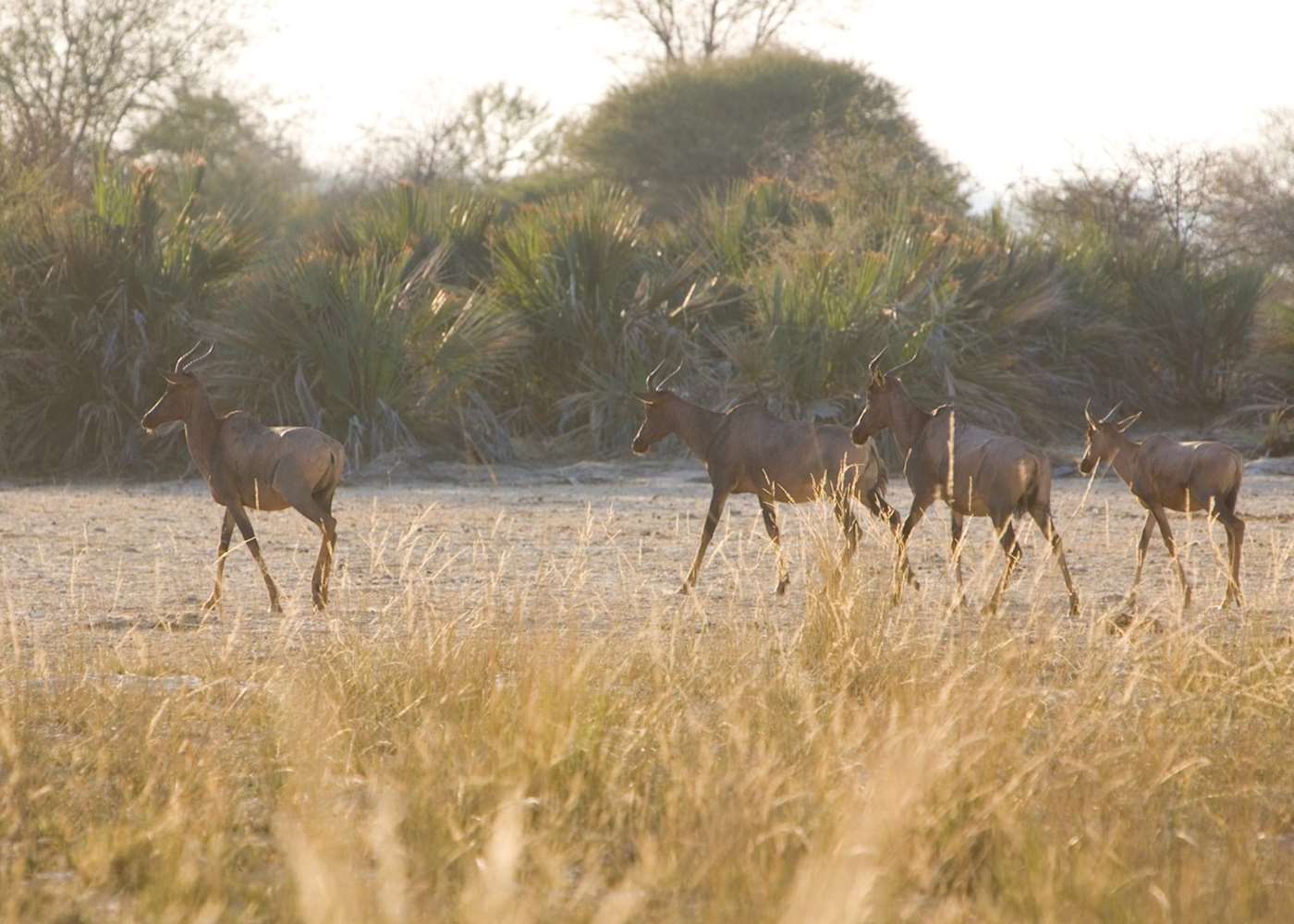 Visit Popa Falls and Mahangu Game Park, Namibia | Audley Travel UK