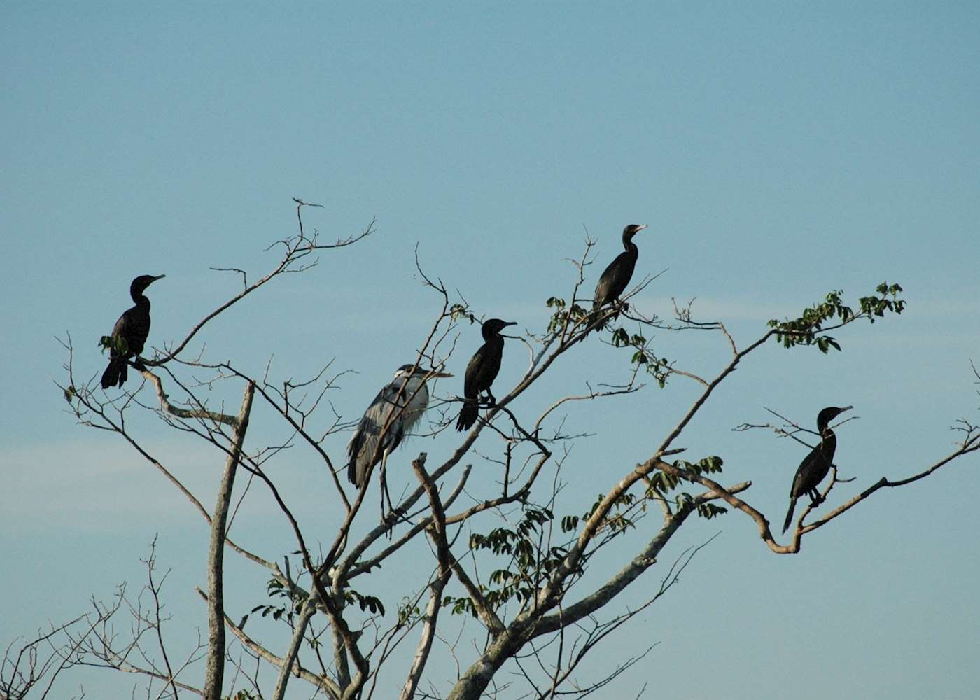 Visit Pousada Rio Mutum, Brazil Default Theme | Audley Travel UK