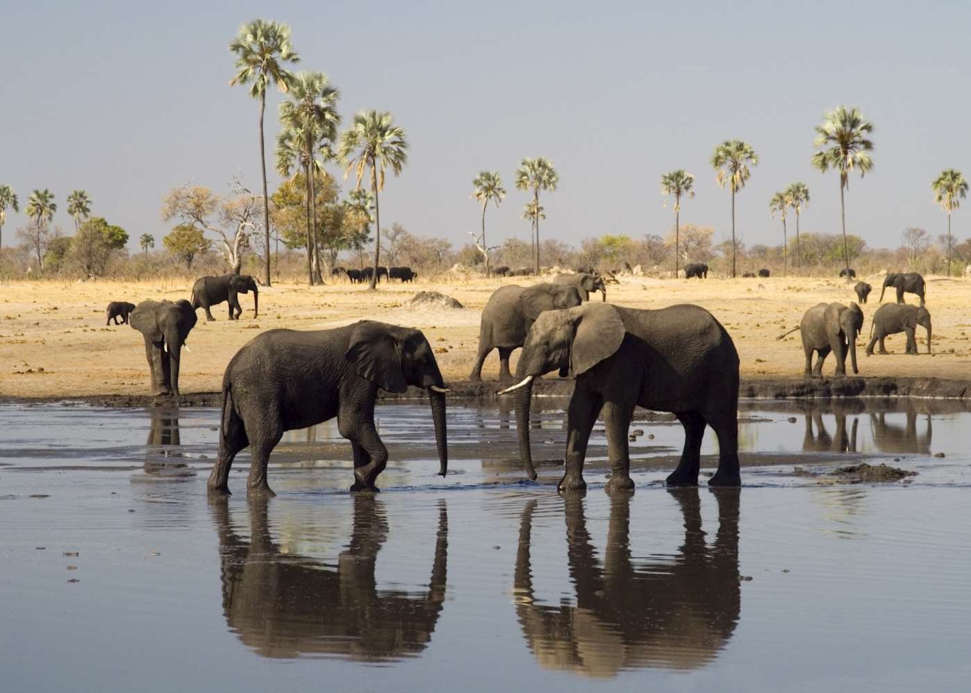 Visit Hwange National Park in Zimbabwe | Audley Travel CA