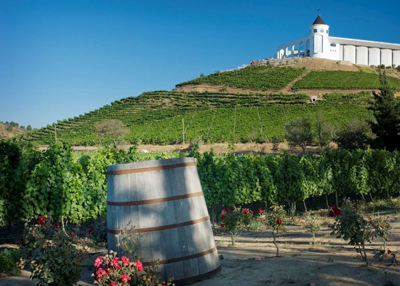 Visit Colchagua Valley, Chile Default Theme | Audley Travel UK