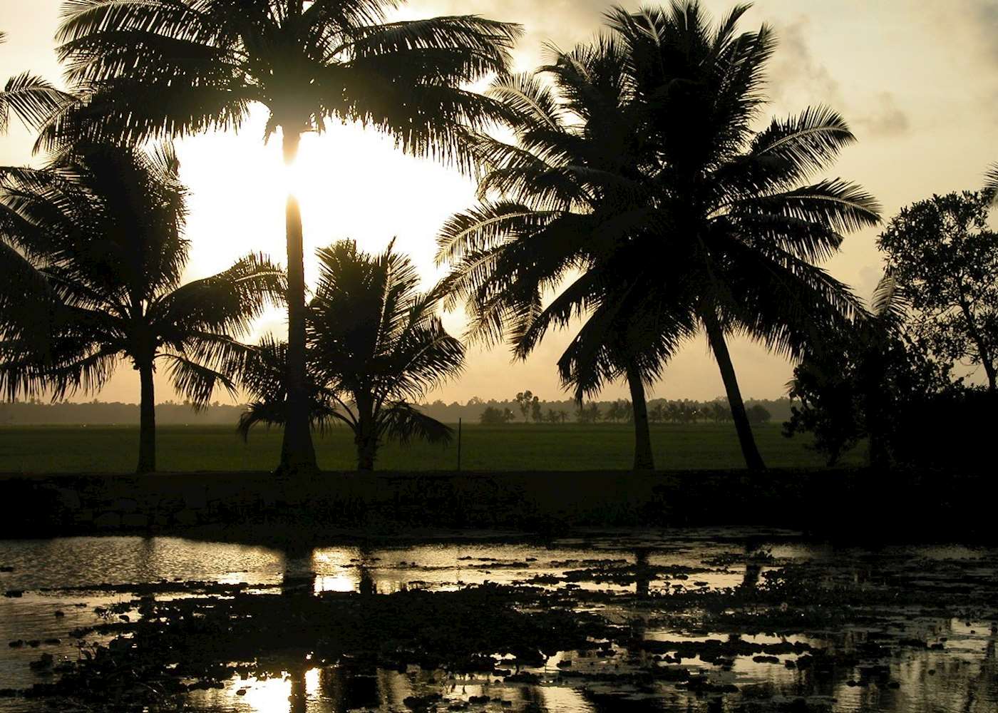 Visit The Backwaters on a trip to India | Audley Travel US