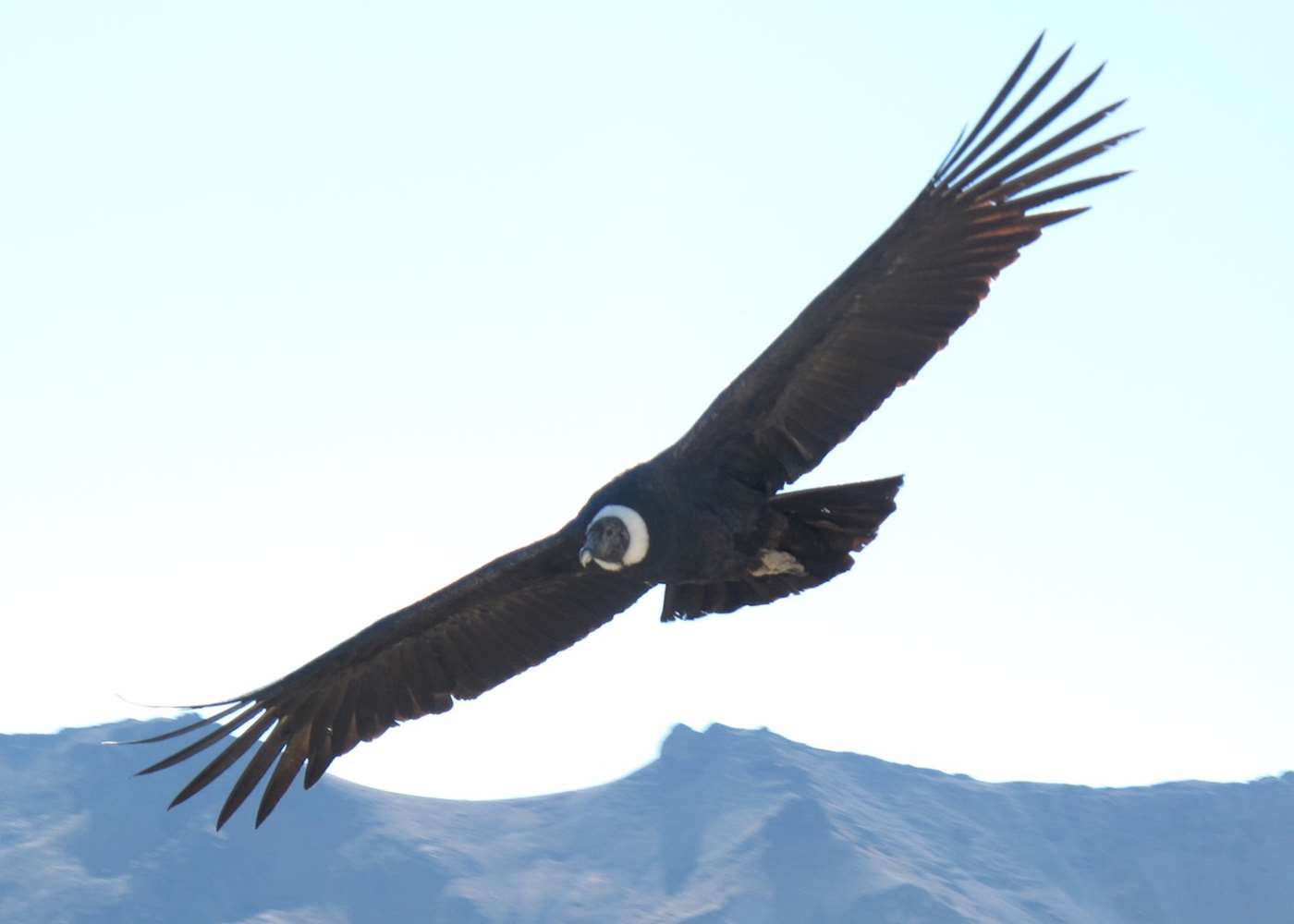 Climb Condors Cross, Peru | Audley Travel UK