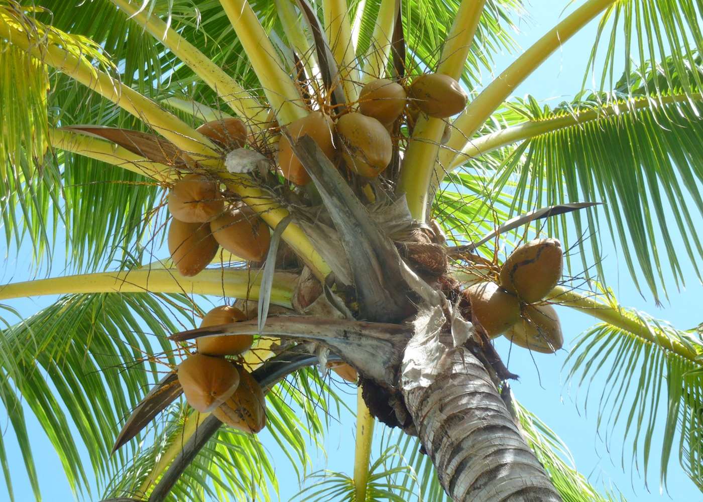 The Seychelles Holidays 2026 & 2027 - Tailor-Made from Audley Travel UK