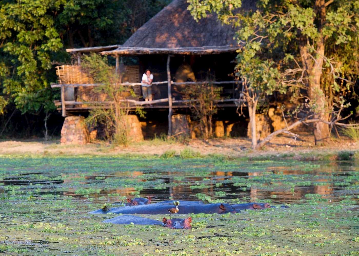 Mfuwe Lodge | Zambia Accommodation | Audley Travel UK