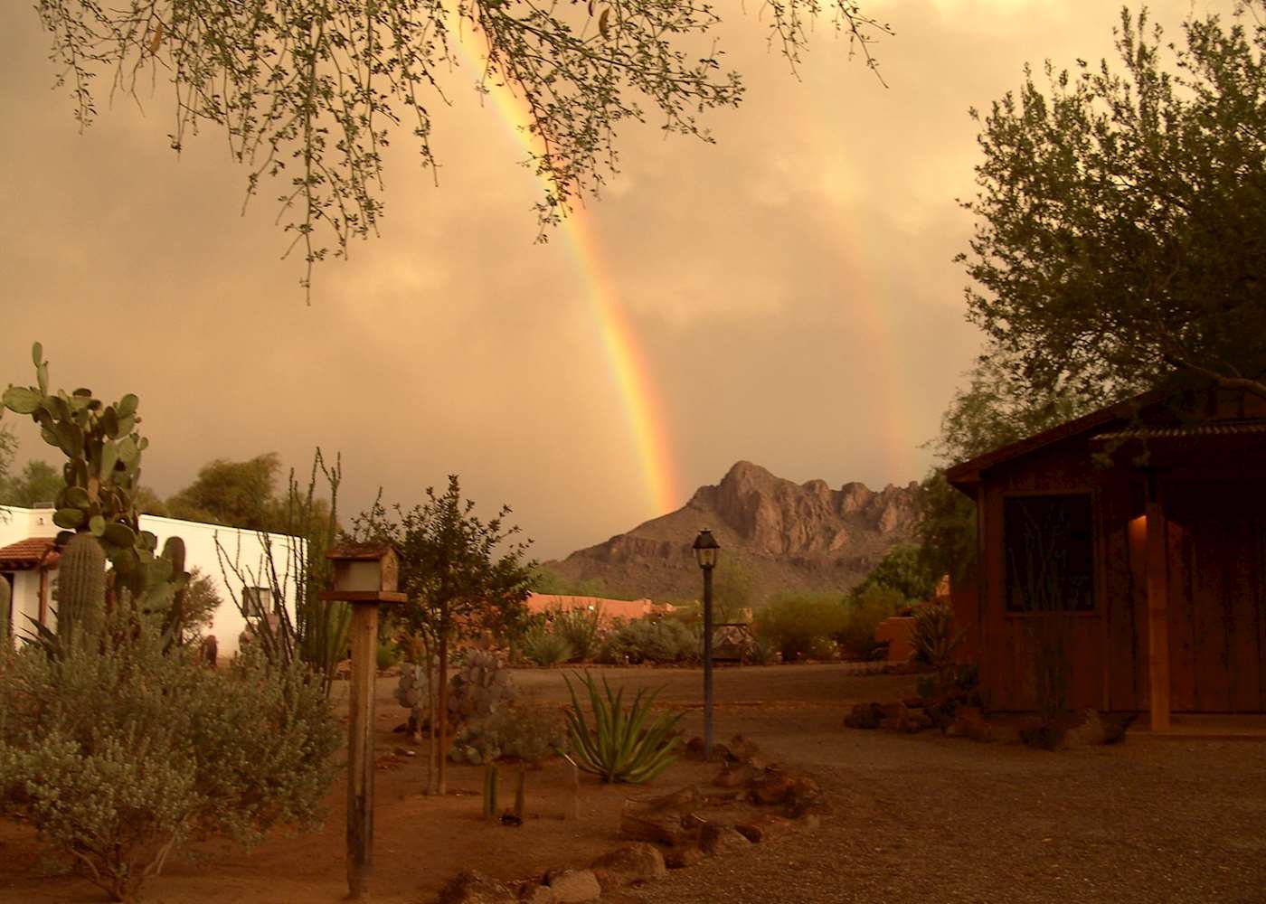 White Stallion Ranch | Hotels in Tucson | Audley Travel US