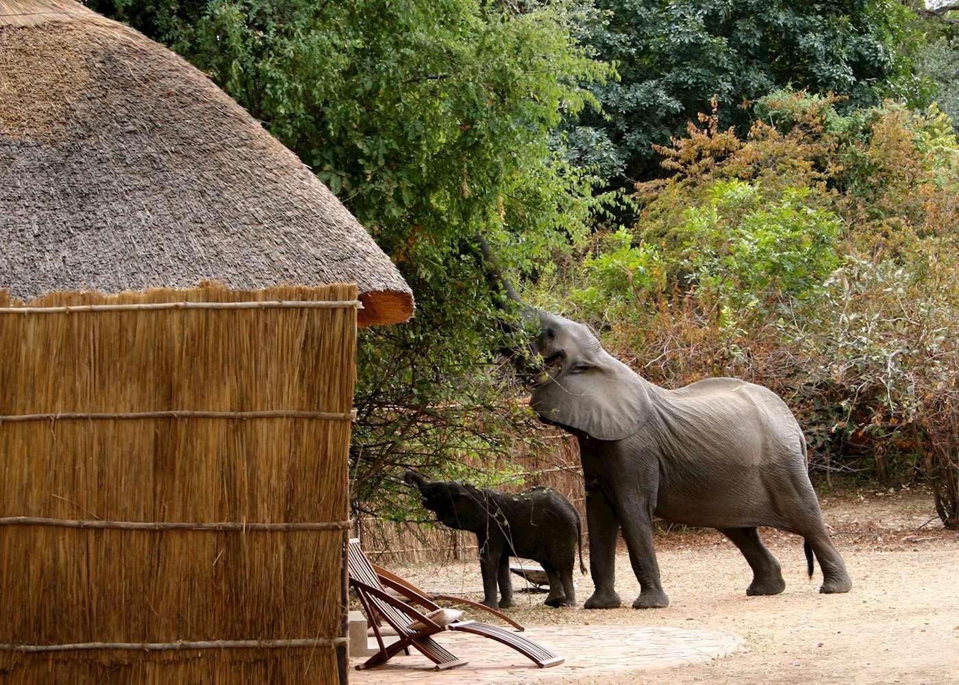 Kaingo | South Luangwa National Park | Audley Travel UK