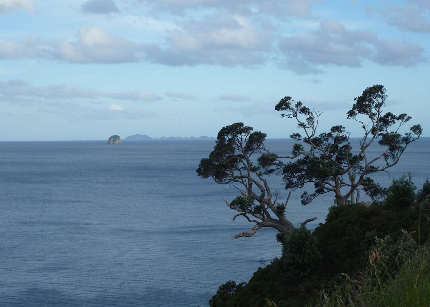 Visit Coromandel Peninsula, New Zealand | Audley Travel US