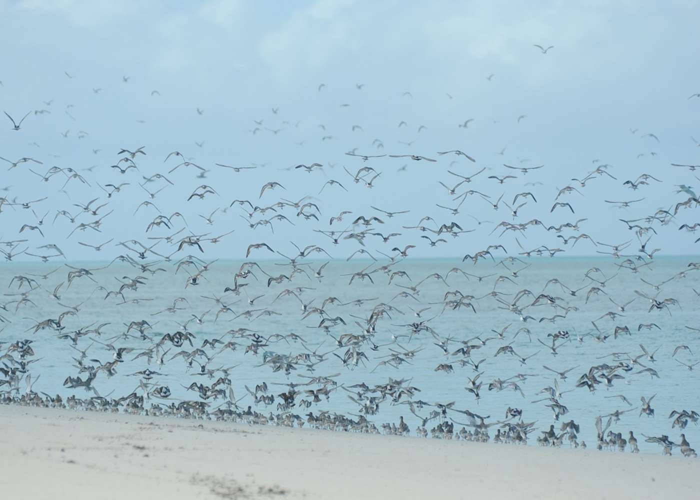 Visit Songo Songo Archipelago, Tanzania | Audley Travel