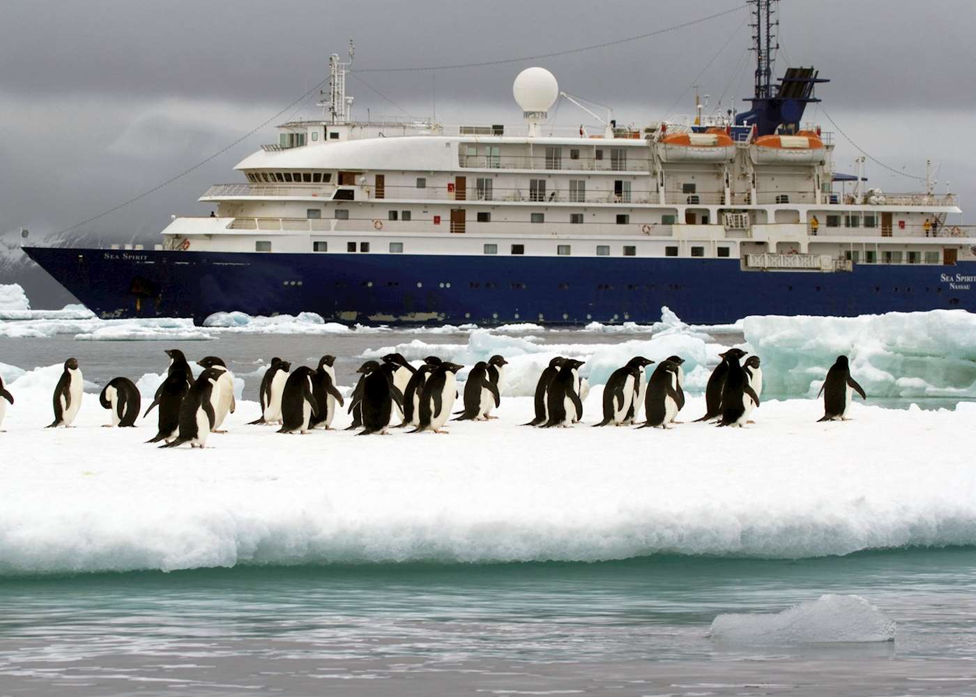 Sea Spirit — Antarctic Cruise | Audley Travel UK