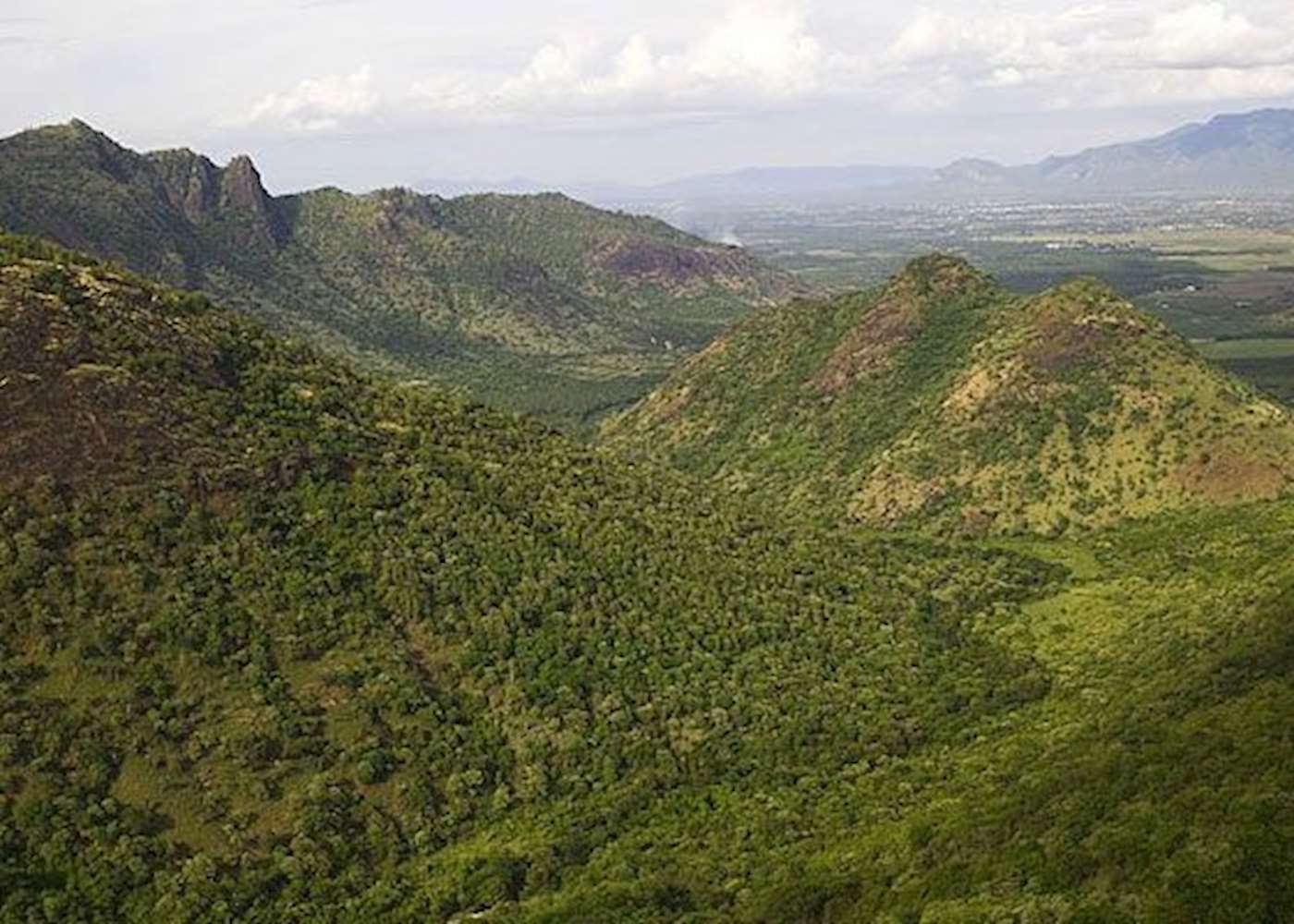 Rajakkad Estate | Hotels in India | Audley Travel