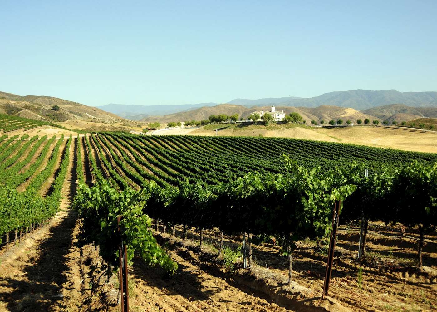 Visit Barossa Valley on a trip to Australia | Audley Travel US