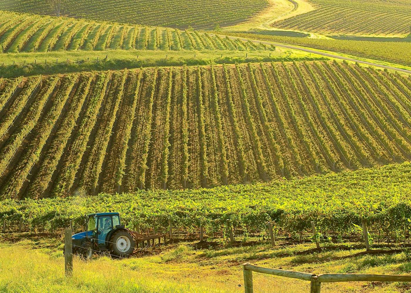 Visit Hunter Valley, Australia Default Theme | Audley Travel UK