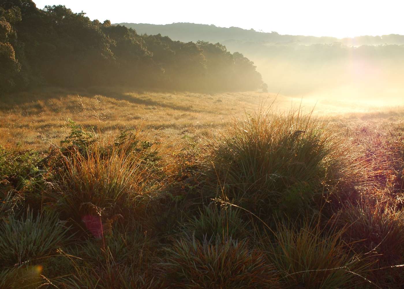 Horton Plains Walk, Sri Lanka | Audley Travel UK