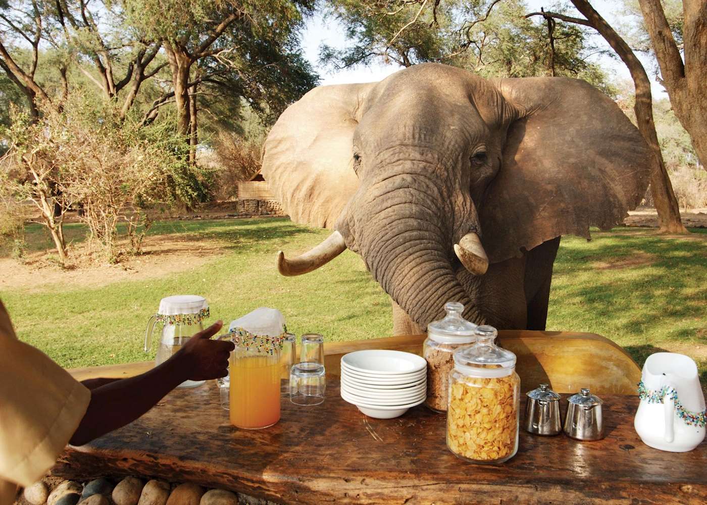 Chongwe River Camp | Audley Travel UK