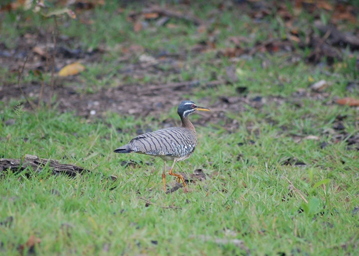 Visit Pousada Rio Mutum on a trip to Brazil | Audley Travel
