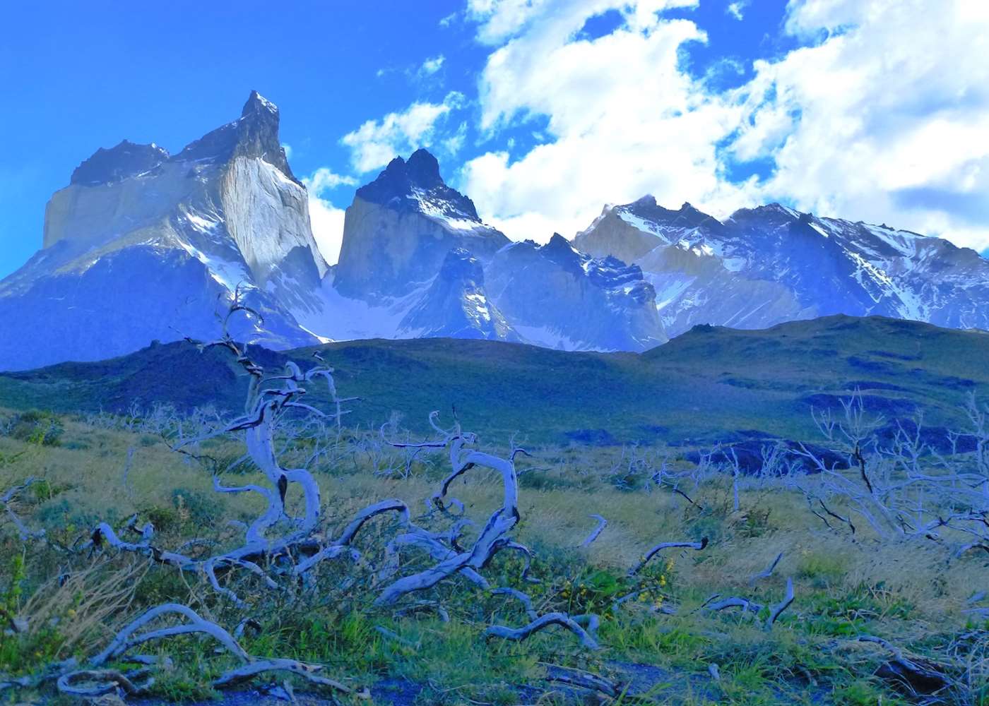 Visit Torres del Paine National Park, Chile | Audley Travel UK
