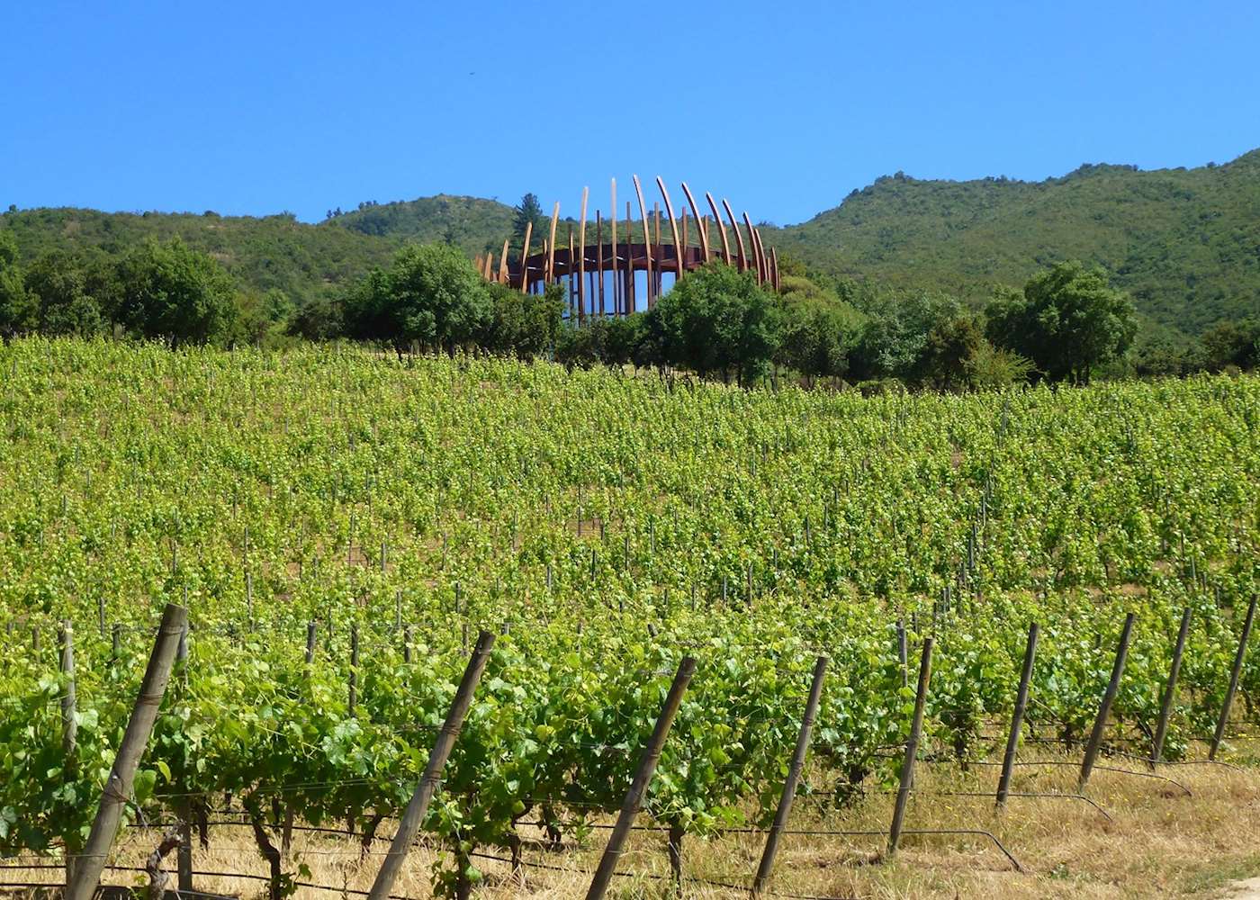 Clos Apalta Residence | Colchagua Valley Hotels | Audley Travel US
