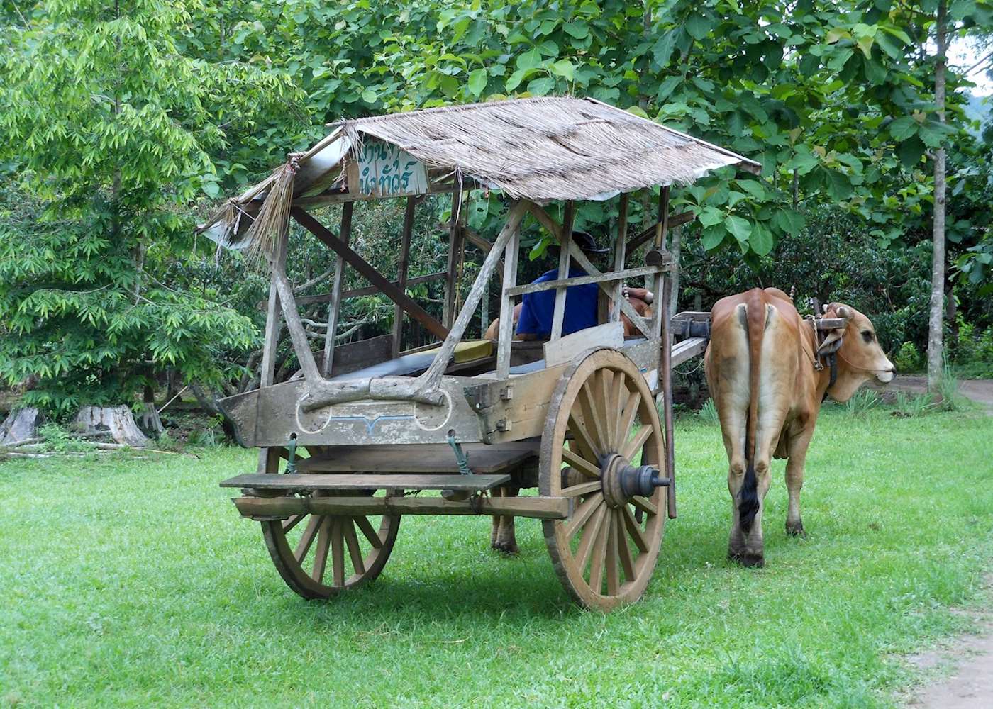 Experience Lisu culture near Chiang Mai | Audley Travel UK