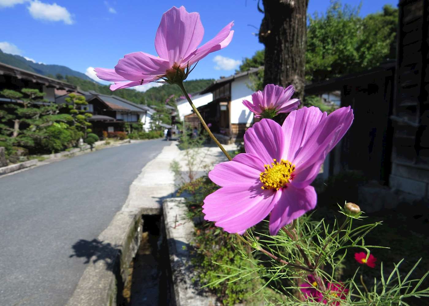 Visit Tsumago on a trip to Japan | Audley Travel UK