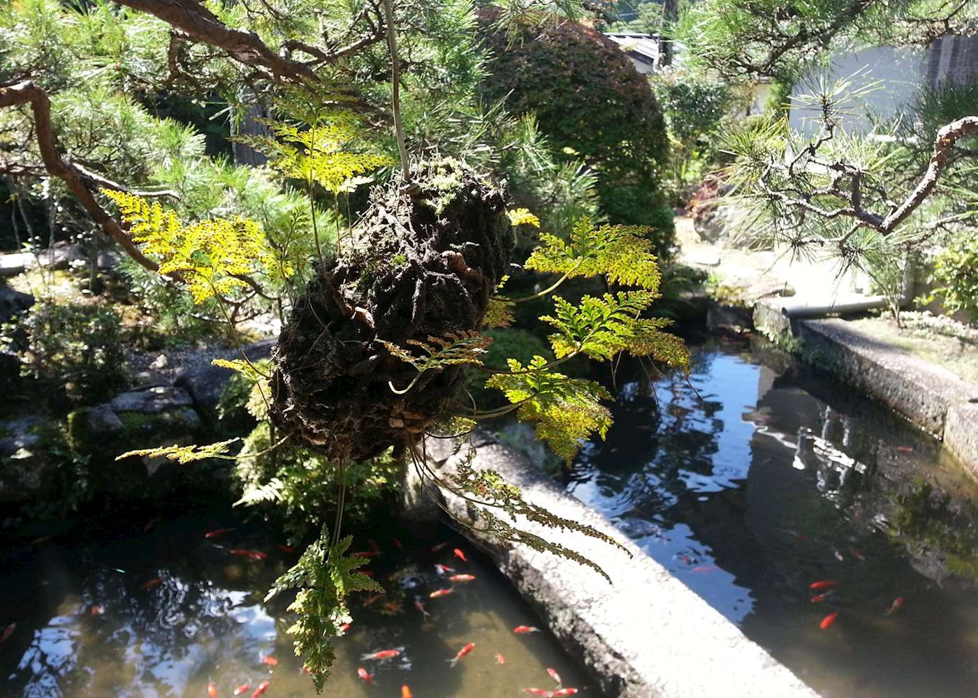 Visit Tsumago on a trip to Japan | Audley Travel US