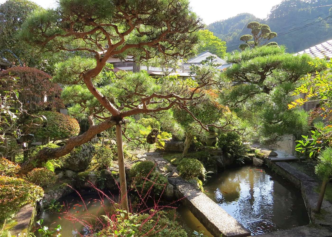 Fujioto Ryokan | Hotels in Tsumago | Audley Travel