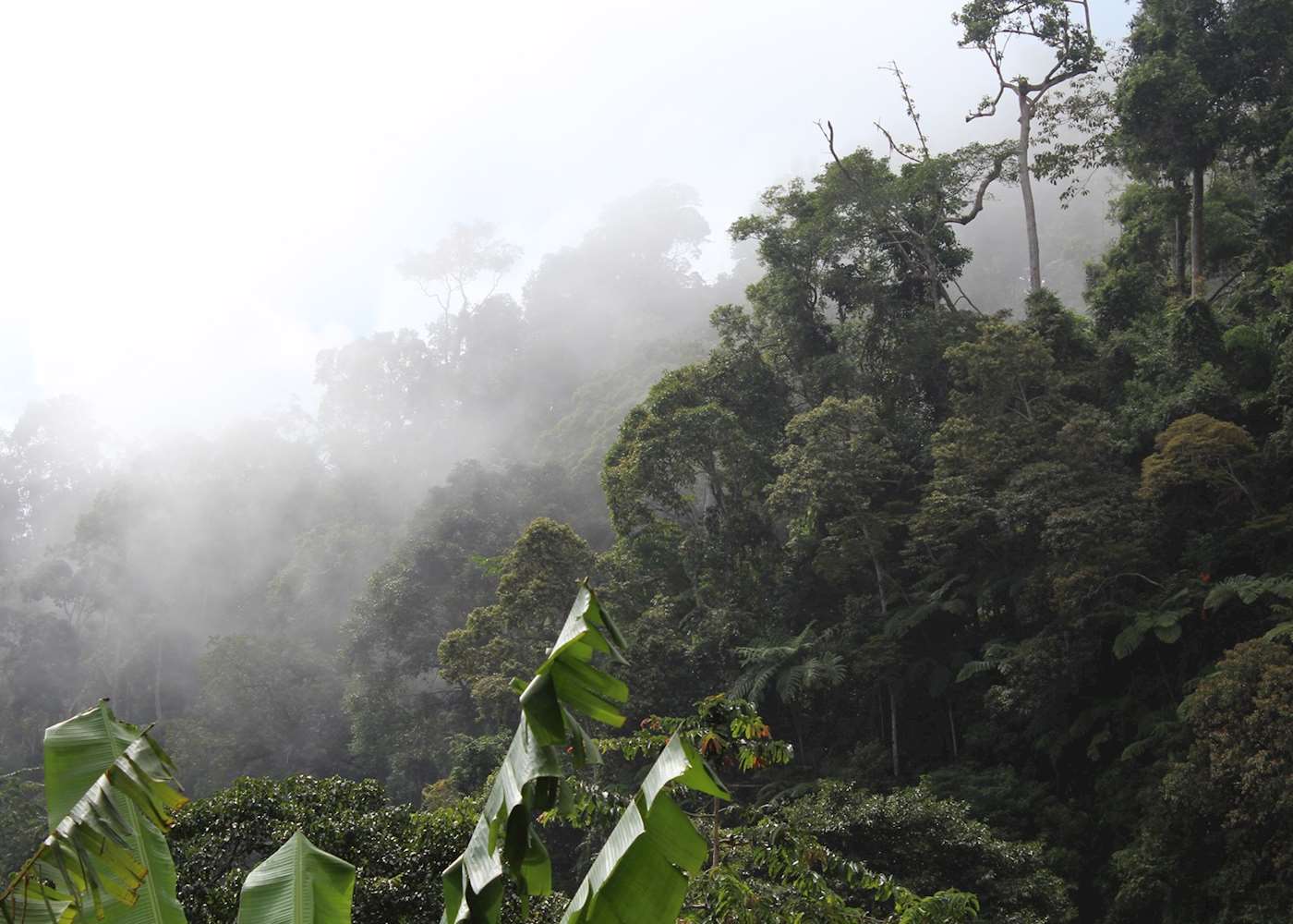 Visit Fraser's Hill, Malaysia | Tailor-Made Trips | Audley Travel UK