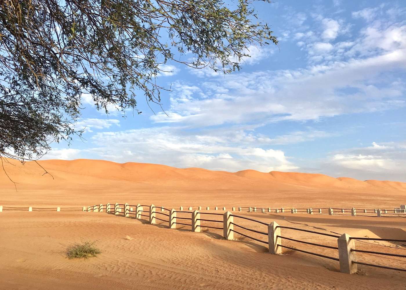 Visit The Wahiba Sands, Oman Default Theme | Audley Travel UK