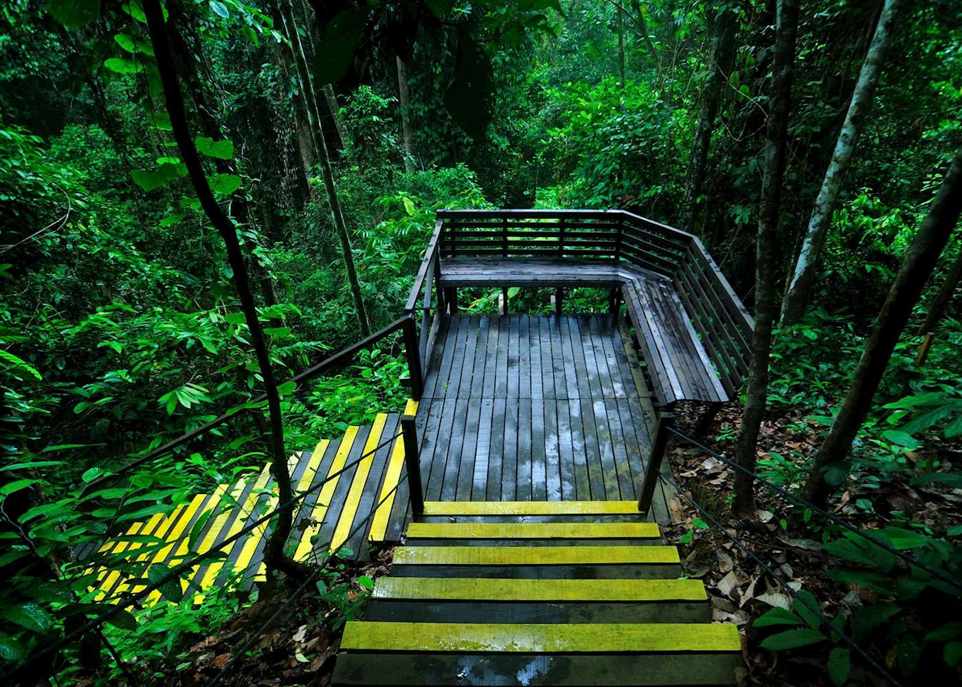 My Nature Resort | Hotels in Sepilok | Audley Travel UK