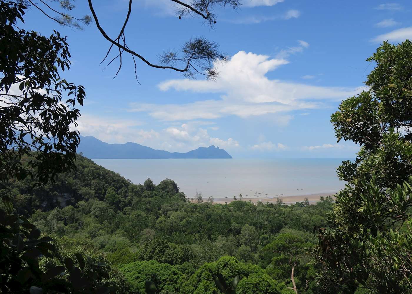 Visit Bako National Park, Borneo | Tailor-Made Trips | Audley Travel CA