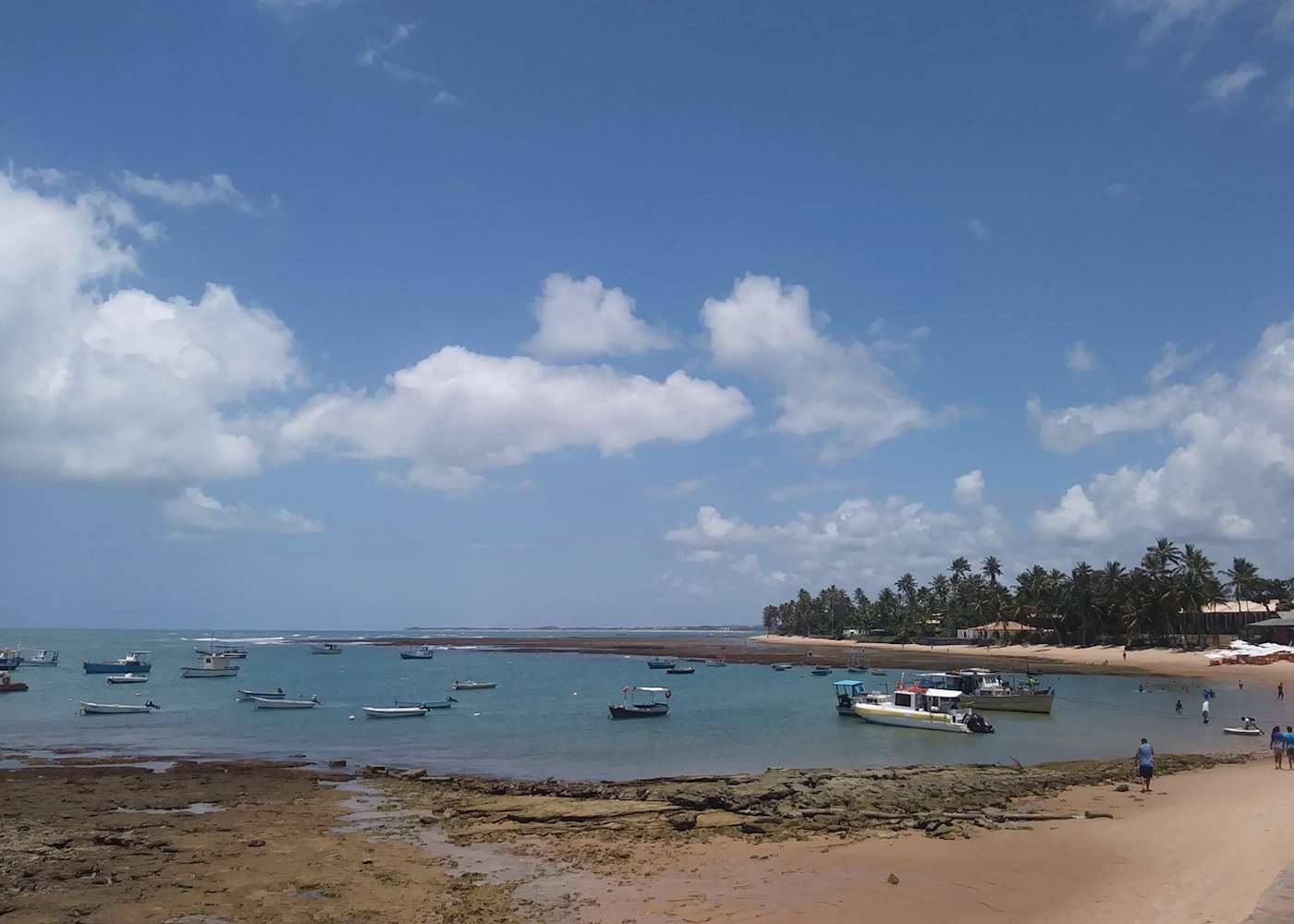 Visit Praia do Forte on a trip to Brazil | Audley Travel UK