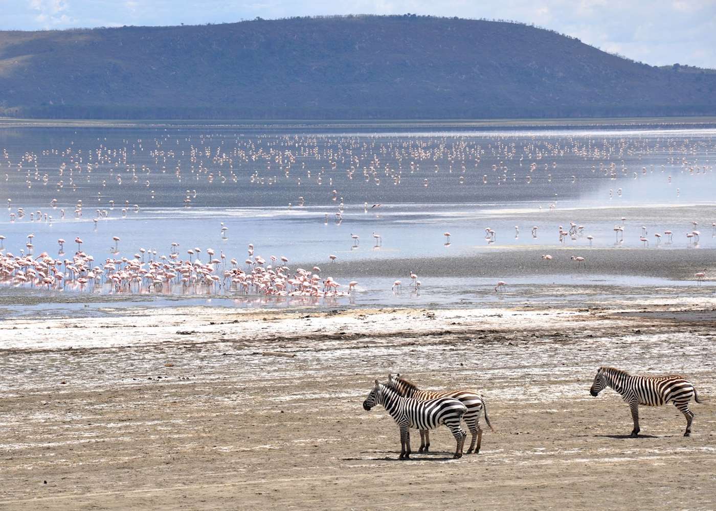 Lakes of The Great Rift Valley | Tailor-Made Trips | Audley Travel UK