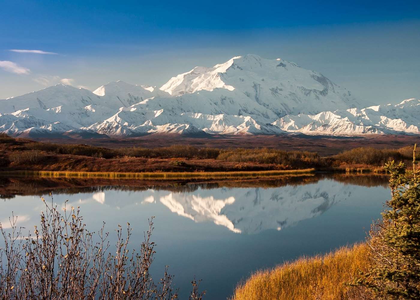 Visit Denali National Park on a trip to Alaska | Audley Travel UK