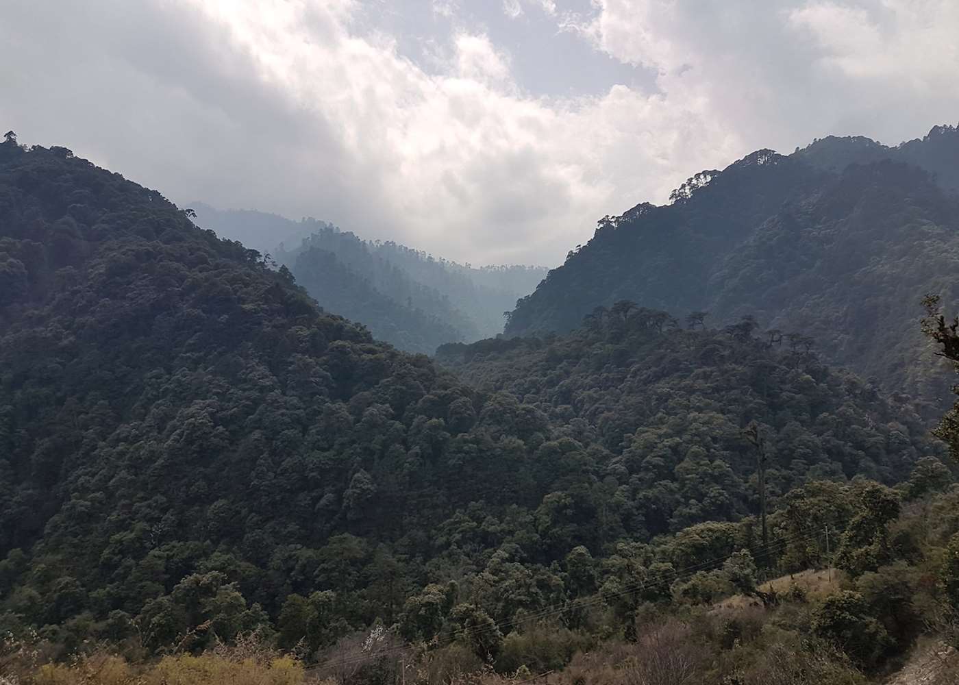 Visit Phobjikha Valley, Bhutan Default Theme | Audley Travel UK