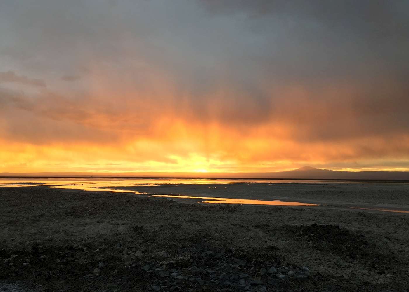 Laguna Cejar & Salar de Atacama, Chile | Audley Travel UK