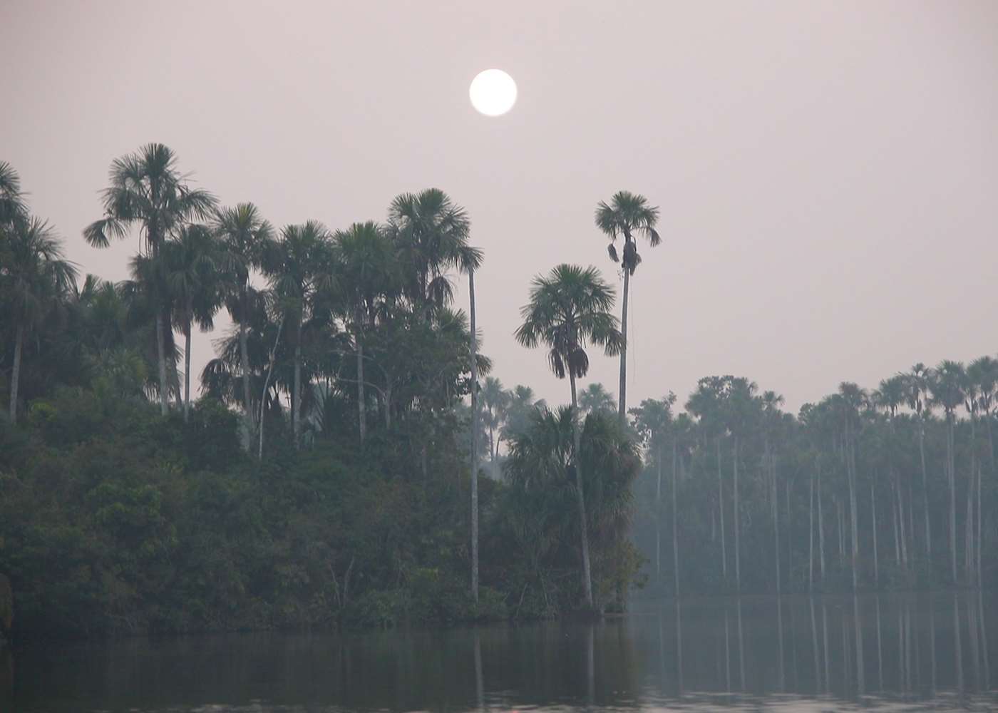 Visit The Southern Amazon, Peru Default Theme | Audley Travel UK