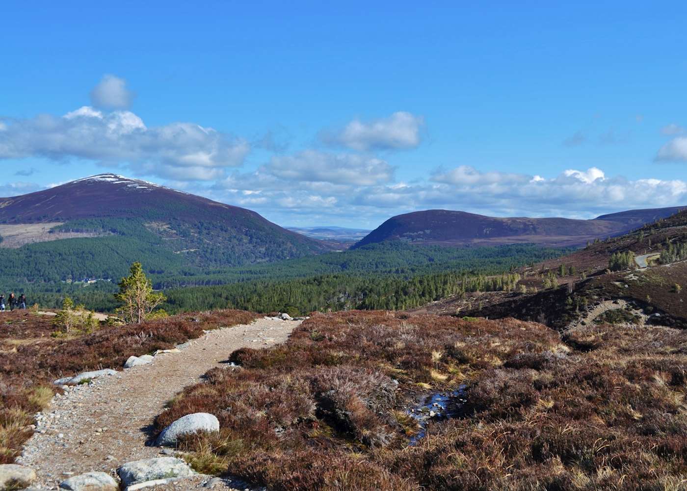 Explore Rothiemurchus Estate by Land Rover | Audley Travel US