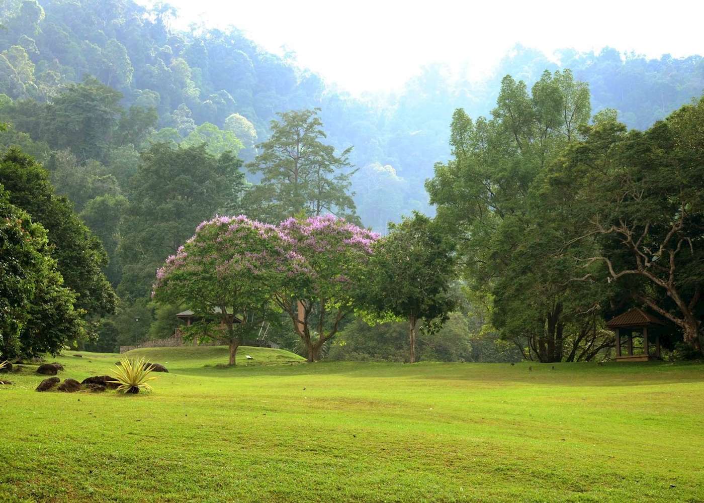 Visit Penang, Malaysia | Tailor-Made Penang Trips | Audley Travel UK