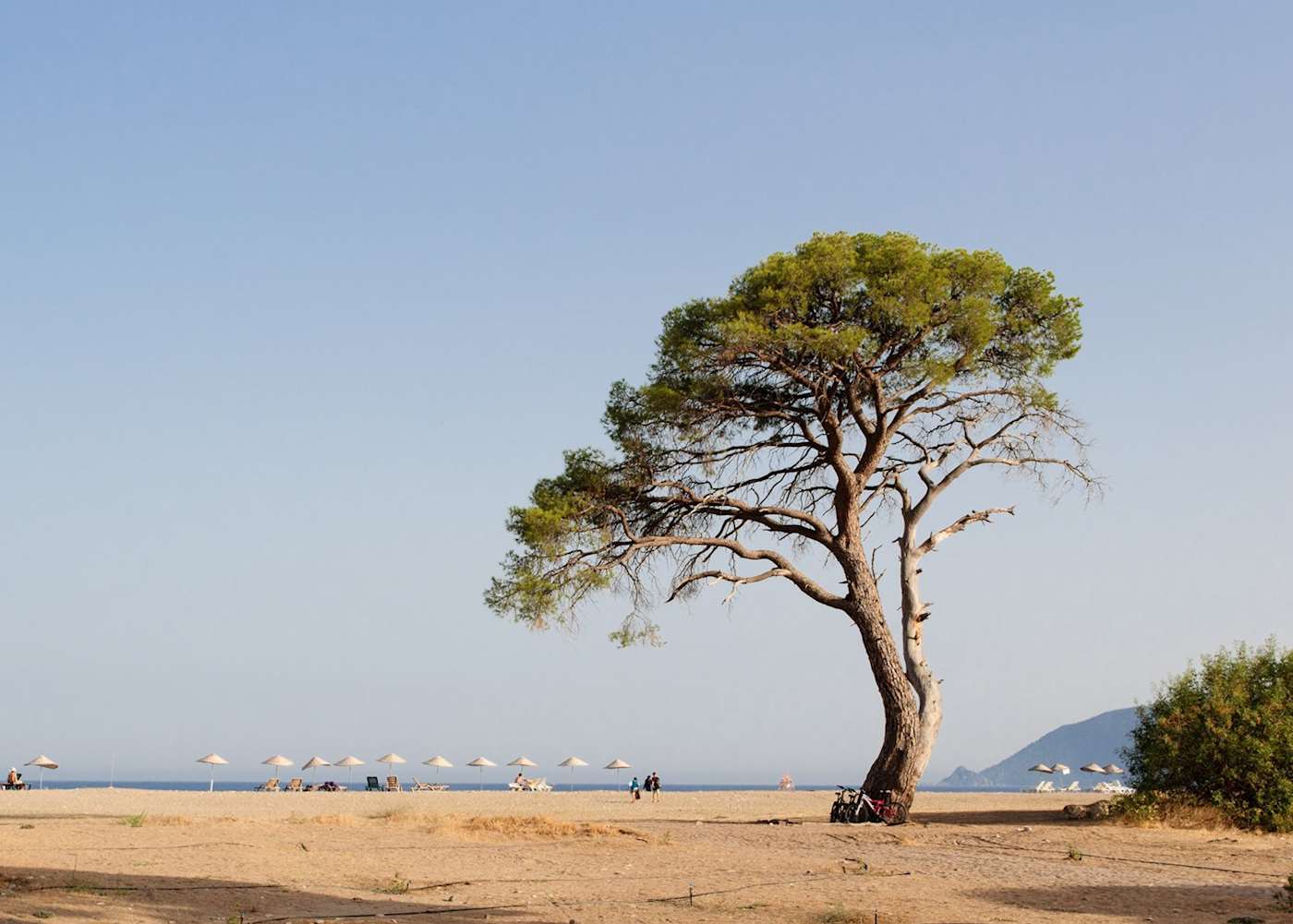 Visit Çirali, Turkey | Tailor-Made Çirali Trips | Audley Travel CA