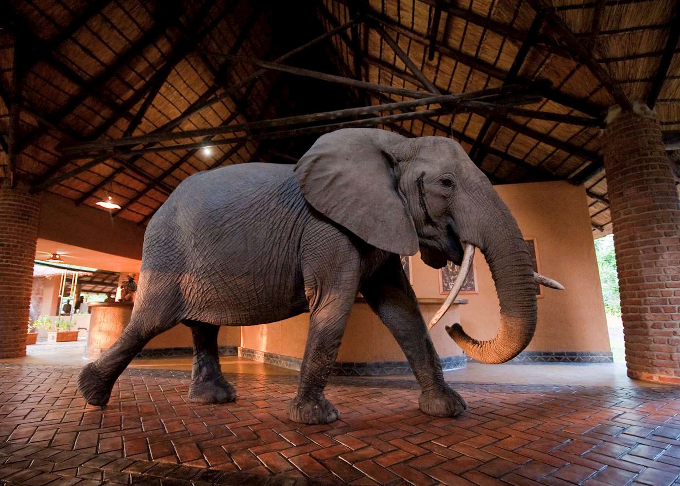 Mfuwe Lodge | Zambia Accommodation | Audley Travel UK