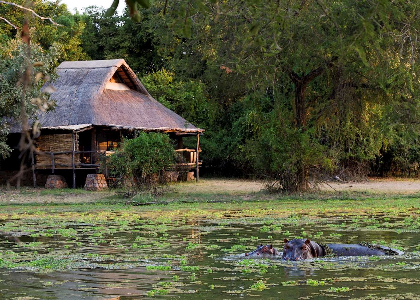 Mfuwe Lodge | Zambia Accommodation | Audley Travel UK