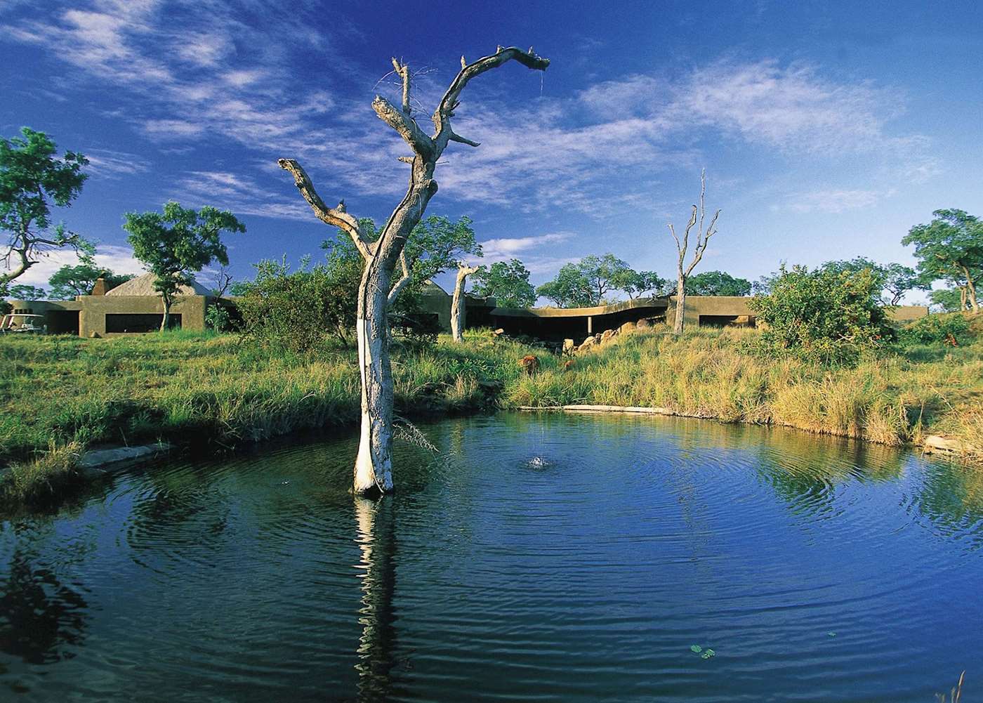 Sabi Sabi Earth Lodge | Audley Travel US