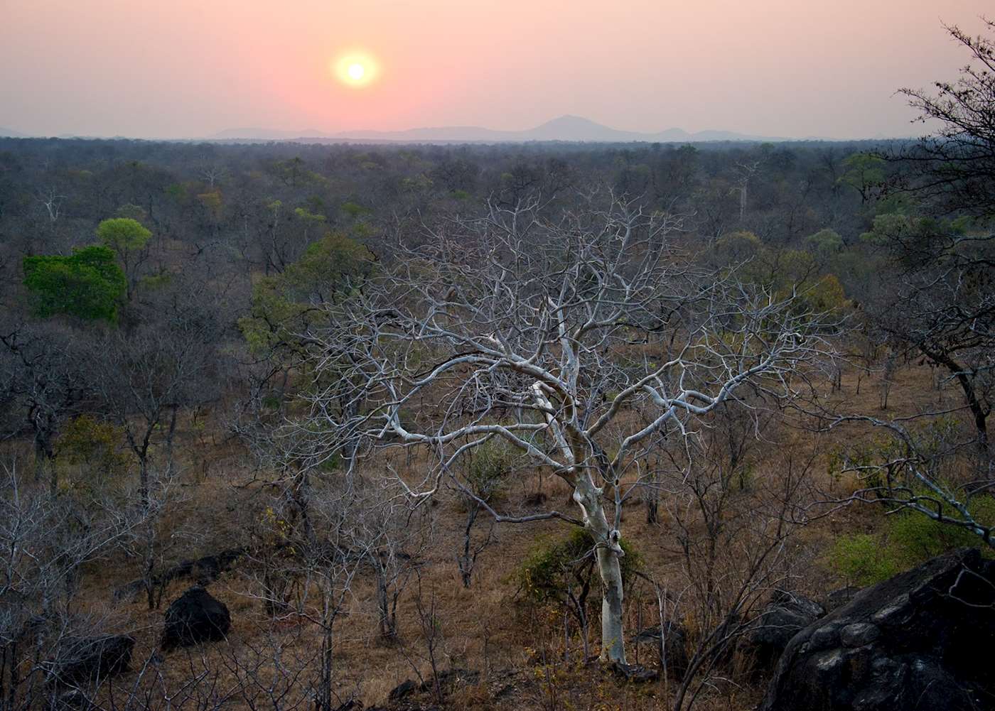 Visit Majete Wildlife Reserve, Malawi | Audley Travel UK