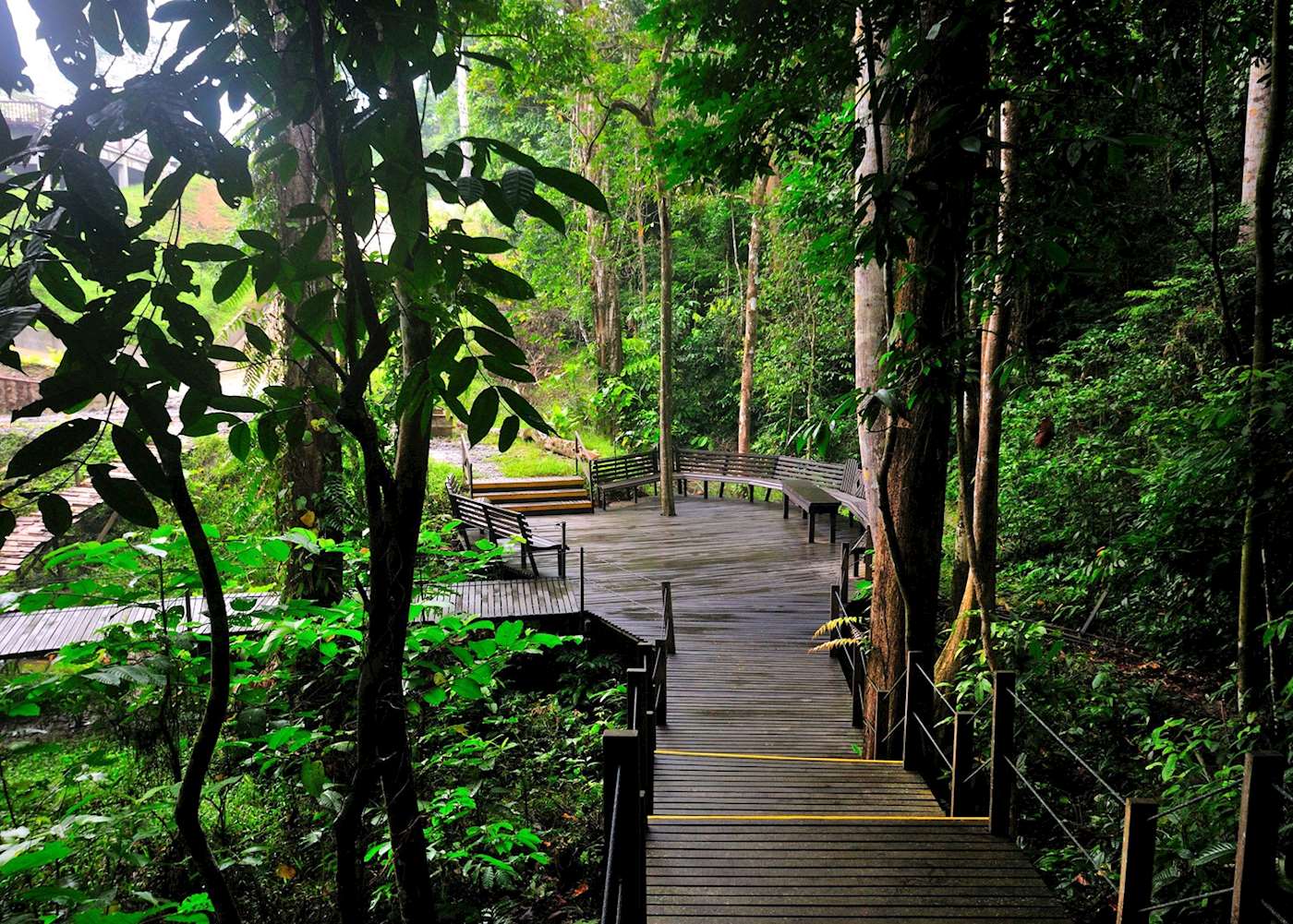 My Nature Resort | Hotels in Sepilok | Audley Travel CA