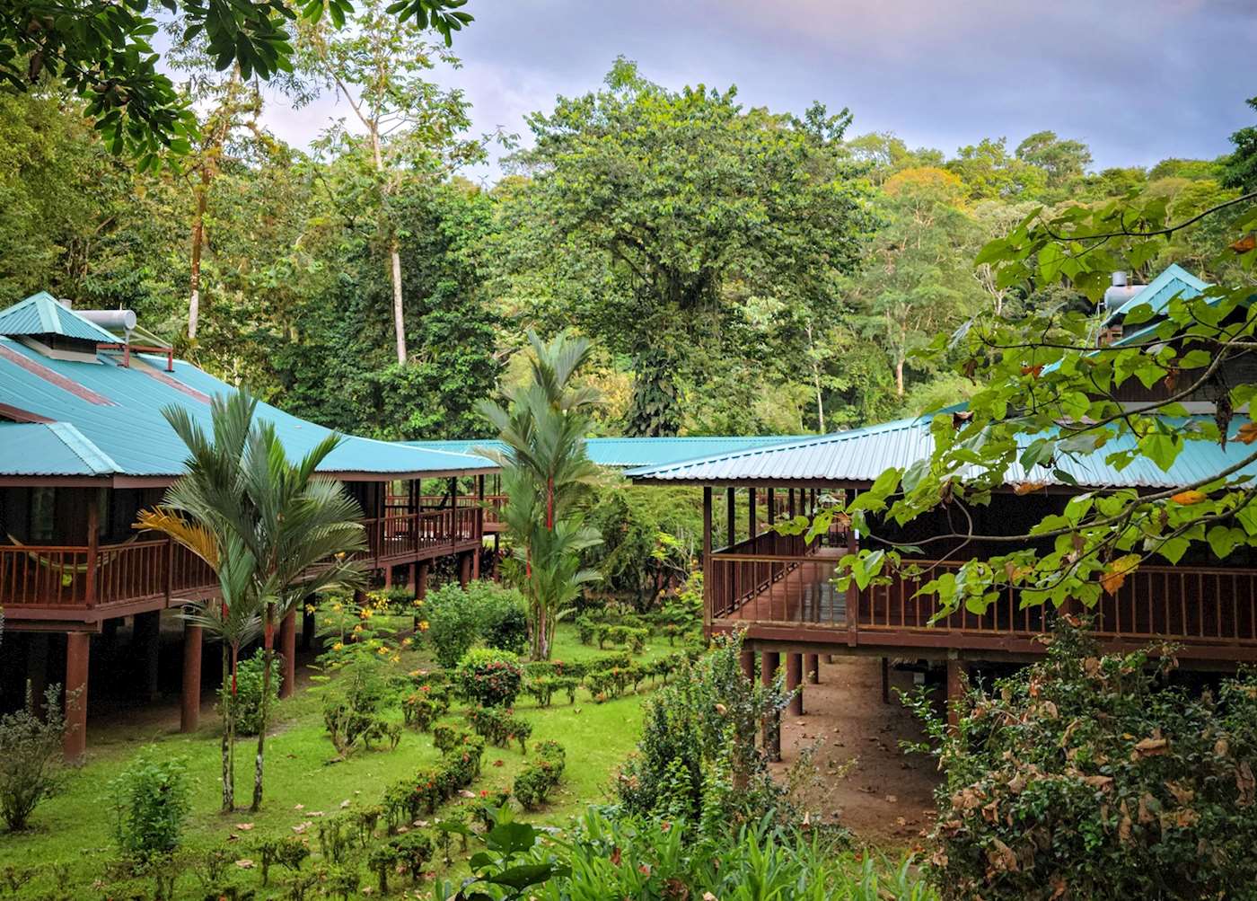 Selva Verde Lodge | Audley Travel UK