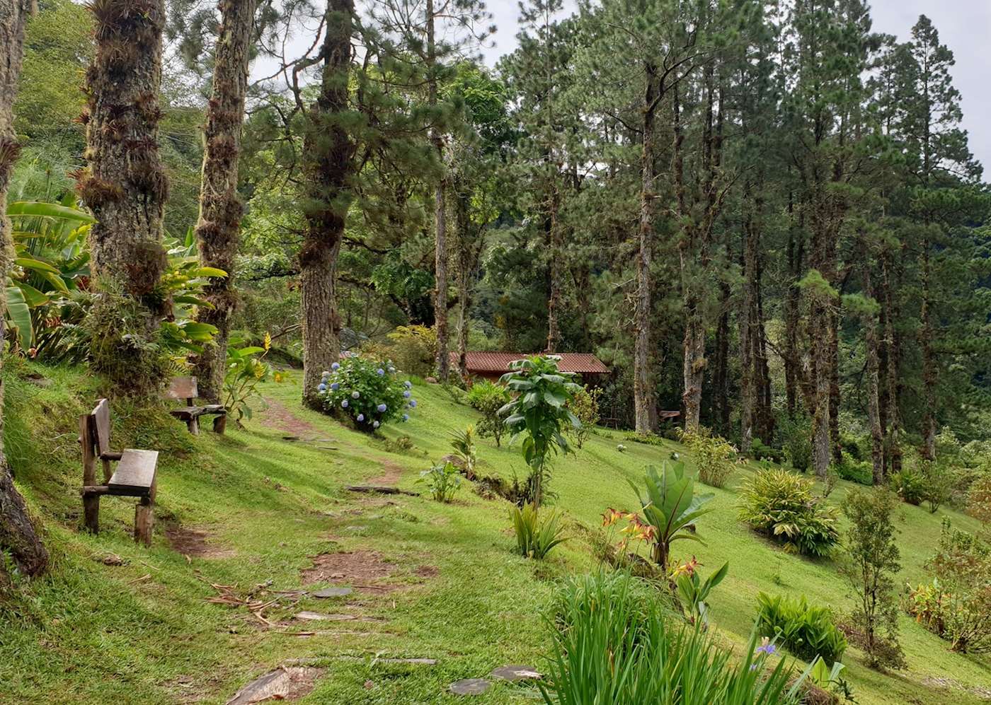 Visit Chiriqui Highlands, Panama Default Theme | Audley Travel US