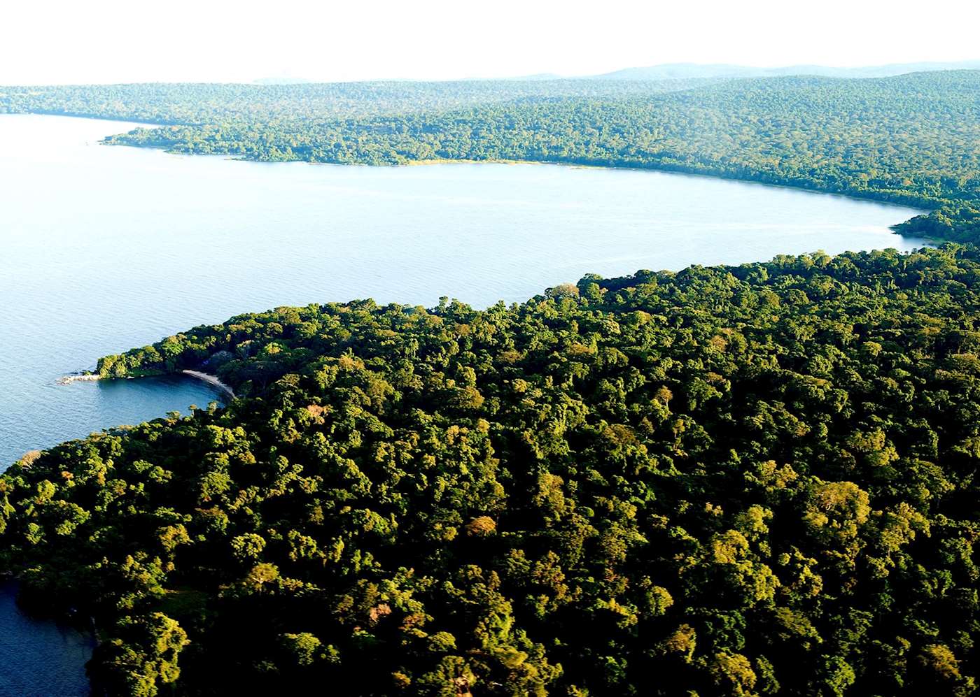 Rubondo Island Camp | Rubondo Island | Audley Travel UK