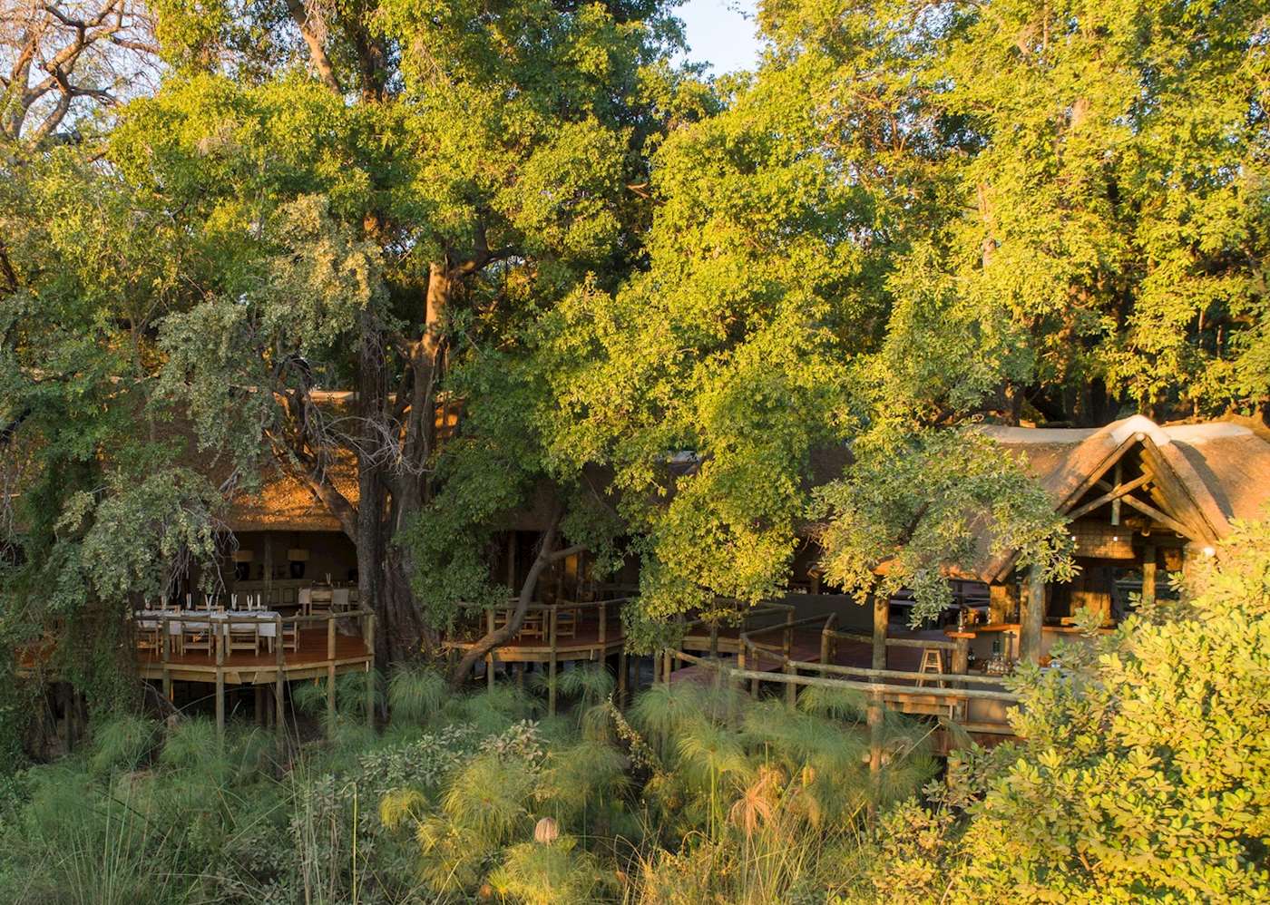 Camp Moremi | Moremi Wildlife Reserve | Audley Travel US