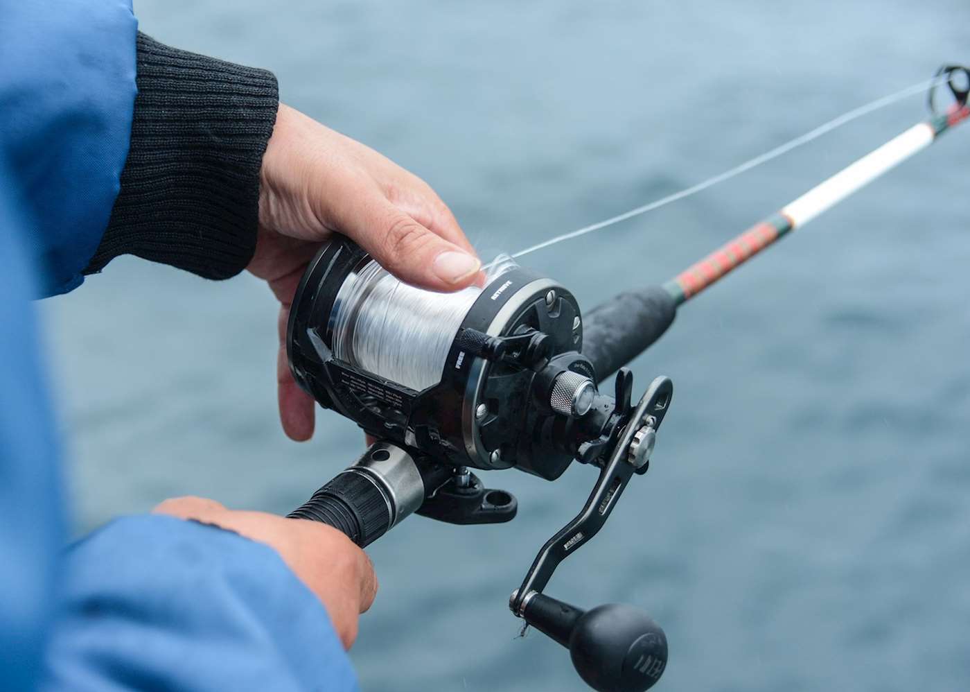Hauganes whale watching & sea angling | Audley Travel UK