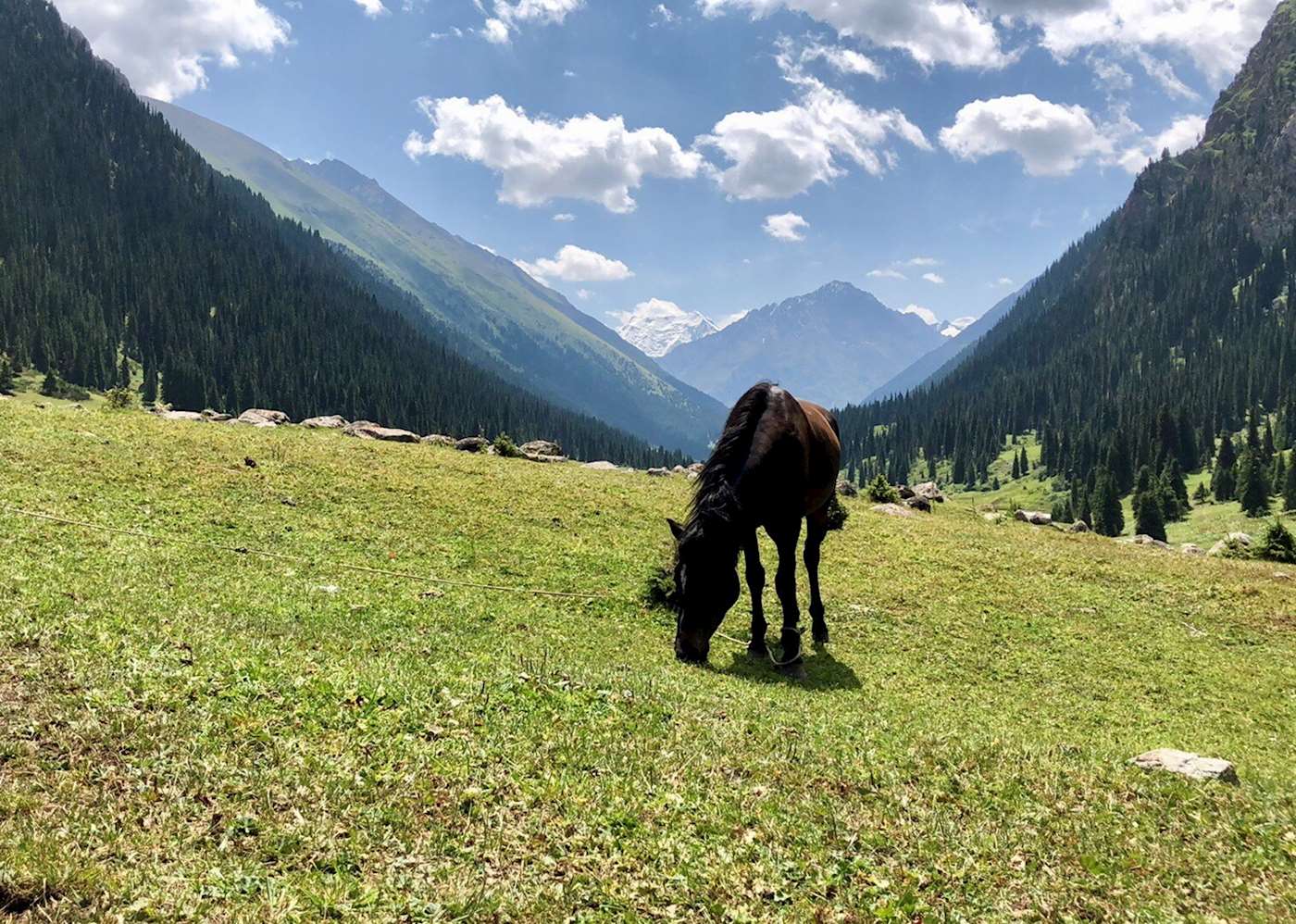 Altyn Arashan Excursion, Kyrgyzstan | Audley Travel UK